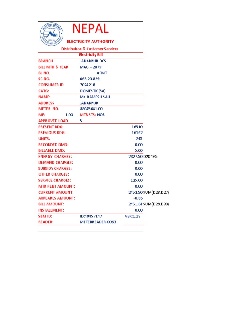 Electricity Bill | PDF | Computers