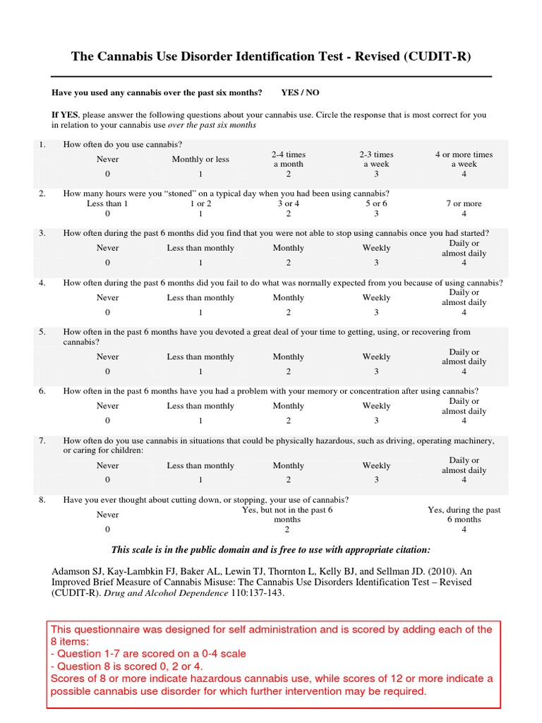 2010 - CUDIT R Revised With Scoring EN | PDF | Social Aspects Of ...