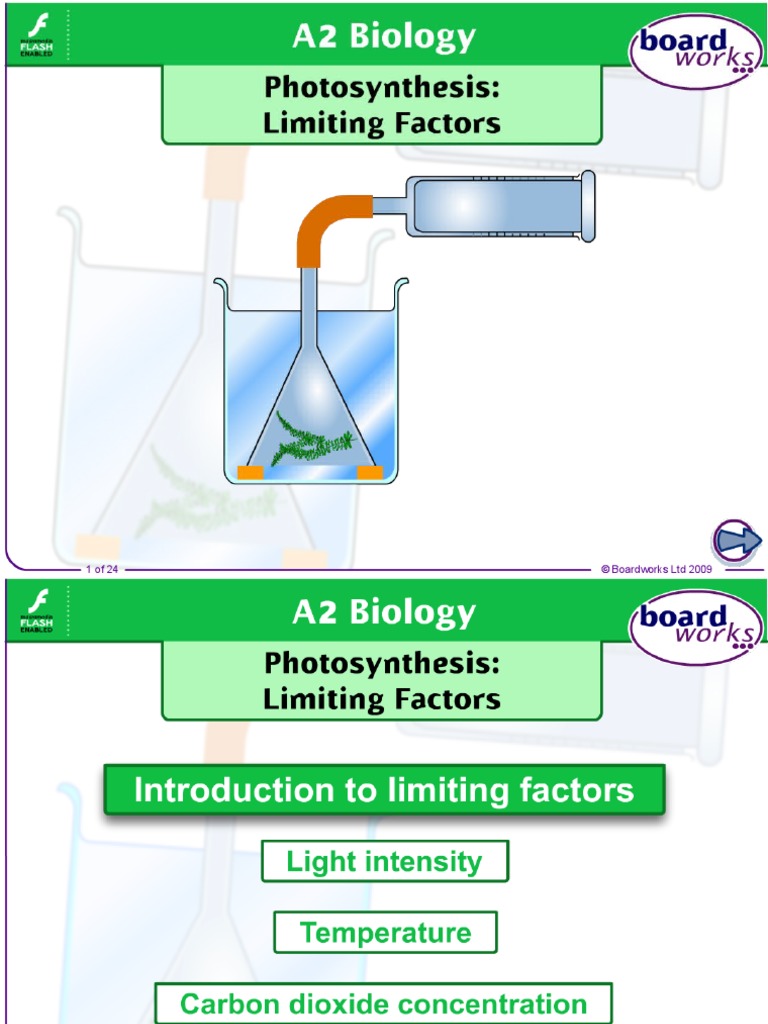 1 of 24 © Boardworks LTD 2009 | PDF