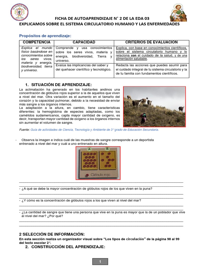FICHA DE AUTOAPRENDIZAJE #2 DE LA EDA 03 B 02 Corregida | PDF | Sistema circulatorio | Sangre