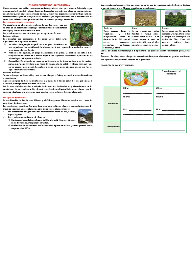 Componentes y Tipos de Ecosistemas | PDF | Ecosistema | Oceanografía
