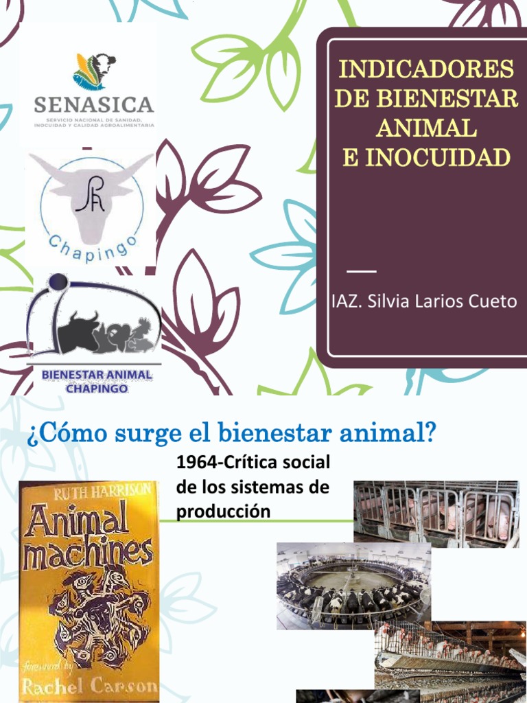 Indicadores de Bienestar Animal e Inocuidad | PDF | Carne | Bienestar de los animales