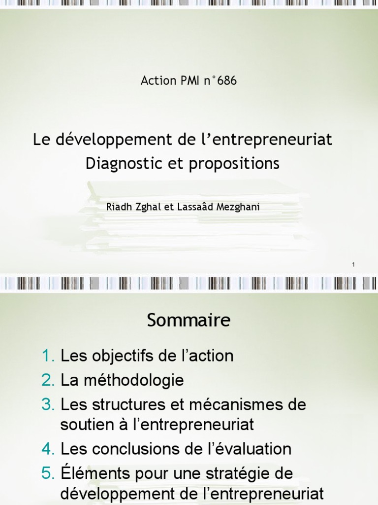 Etude Entrepreneuriat | PDF | Entrepreneuriat | Petite ou moyenne entreprise