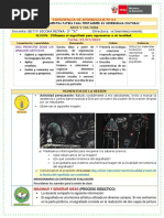 ARTE Técnica Del RAYADO | PDF | Dibujo | Aprendizaje