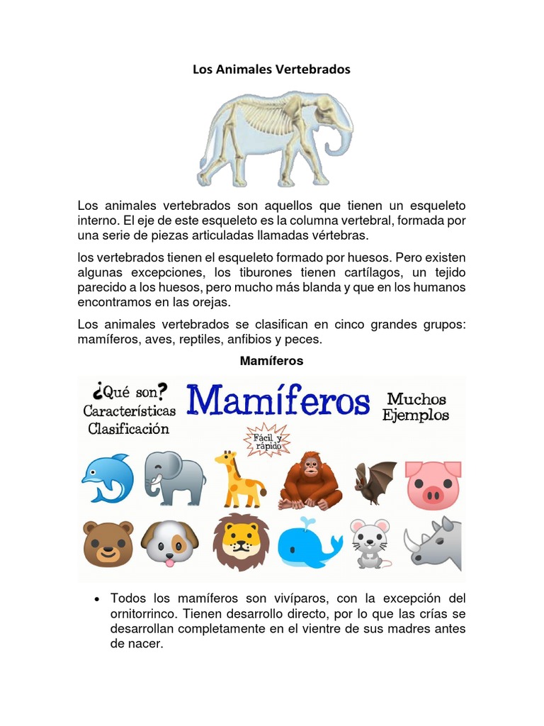 Características de los Animales Vertebrados | PDF | Hogar, jardinería y ...