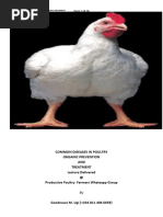 Broiler Farming Handbook: Essential Guide | PDF | Broiler | Poultry Farming