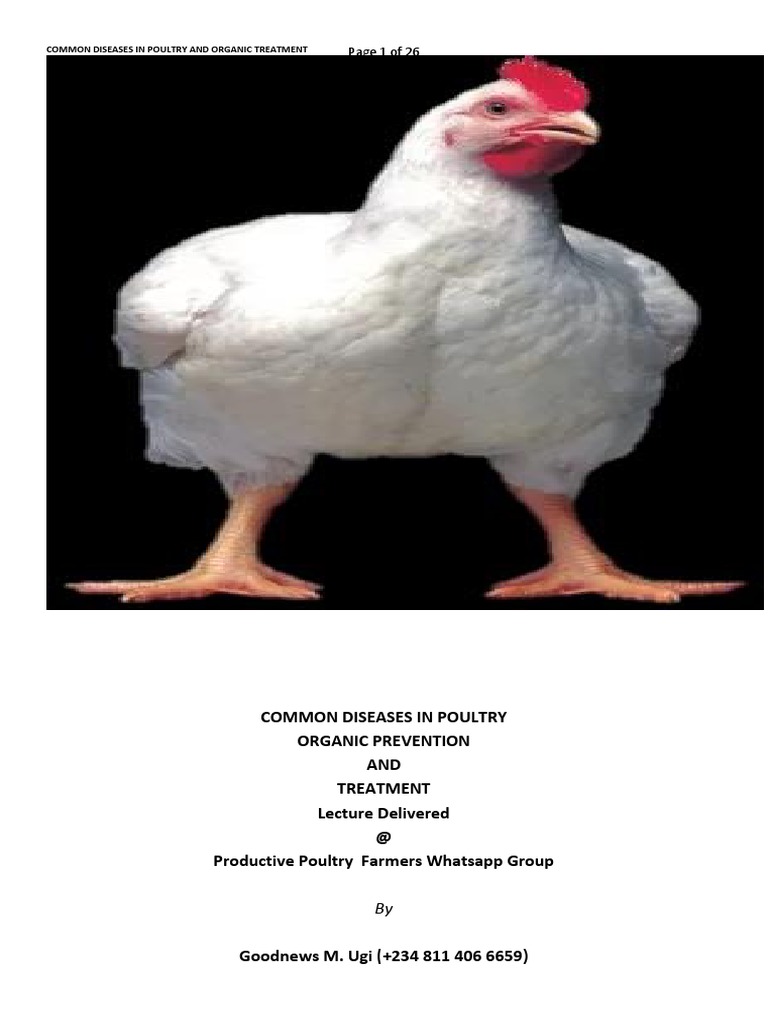 Common Poultry Diseases & Organic Care | PDF | Chicken | Diseases And ...