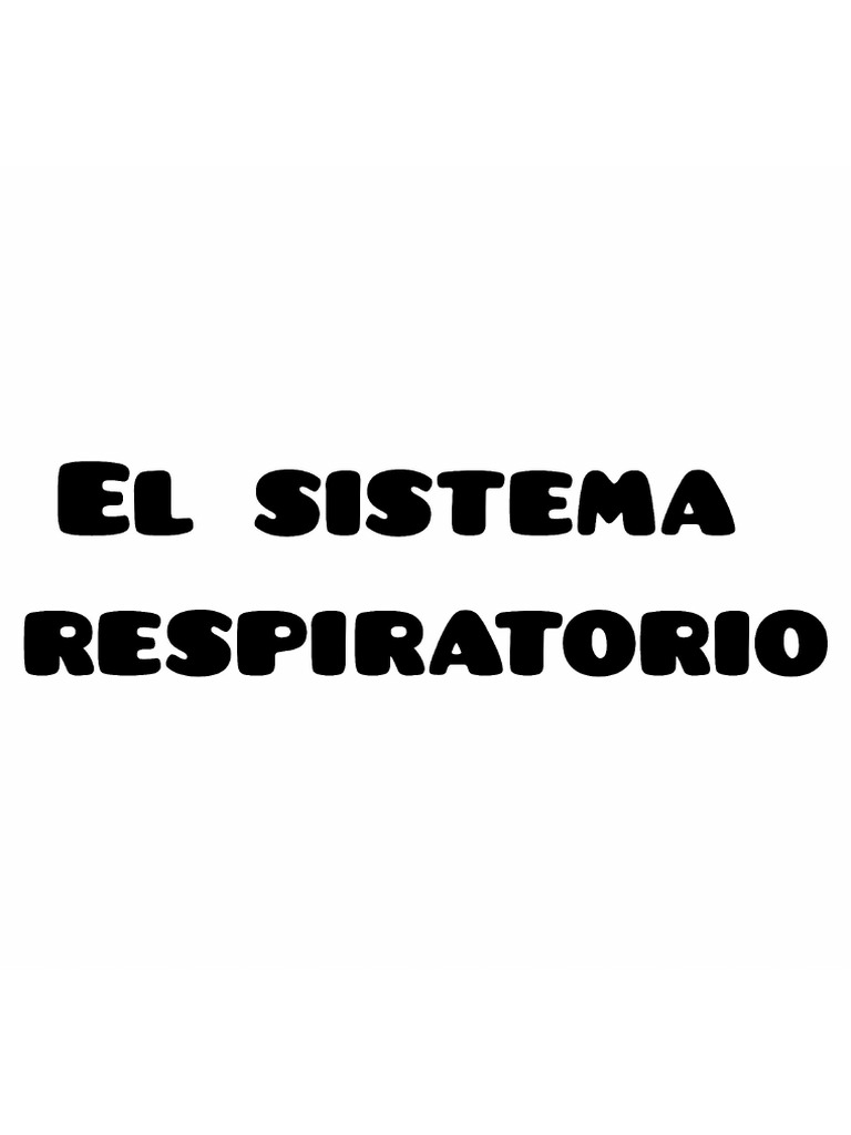 producto-de-cyt-pdf