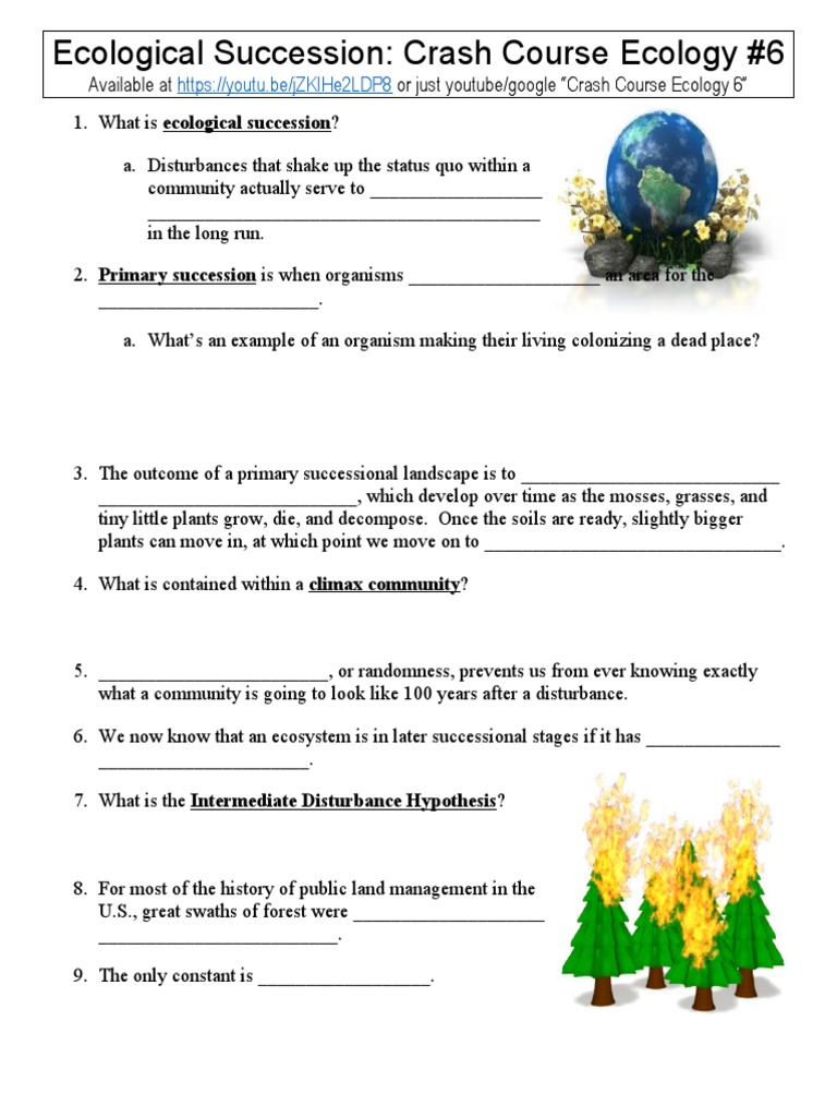 Understanding Primary Succession Dynamics | PDF | Wellness | Science ...