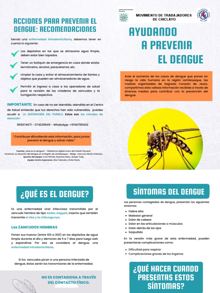Prevención del Dengue para Niños | PDF | Enfermedades animales ...