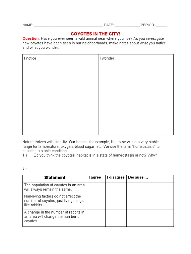 Coyotes In The City Worksheet (1) | PDF | Predation | Ecosystem