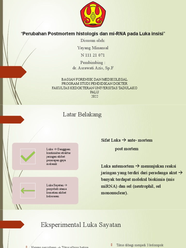 Yayang Minansal - N11121071 Jurnal Luka Insisi | PDF