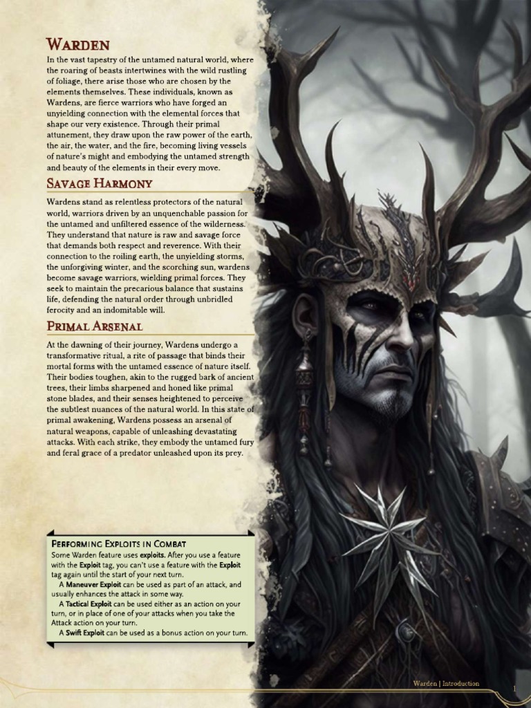 Warden V 0.8.5 | PDF