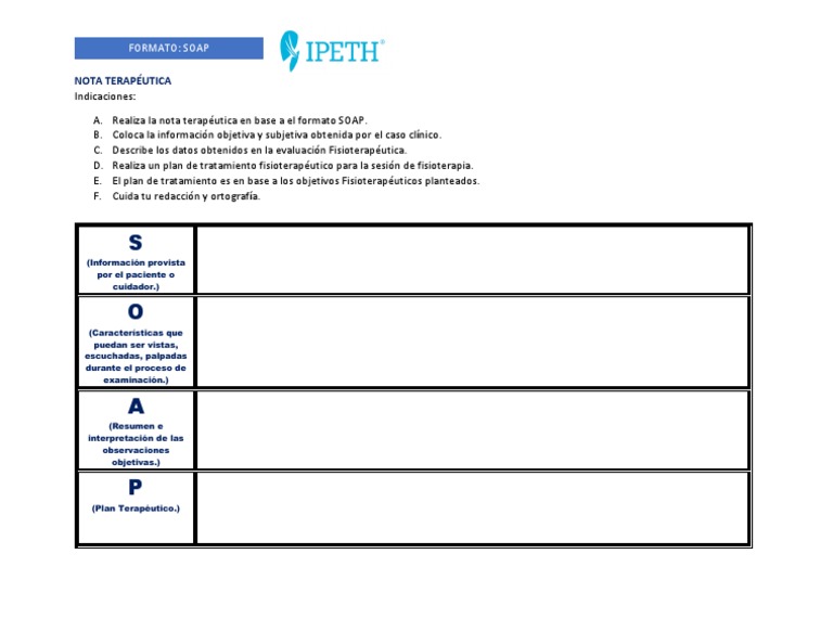 Nota Terapéutica (SOAP) | PDF