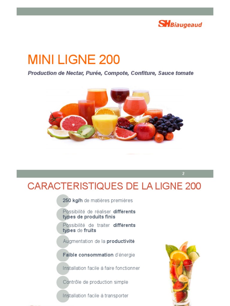 Production de Nectar et Purées de Fruits | PDF