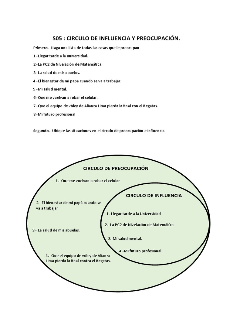 Círculo de Influencia y Preocupación | PDF