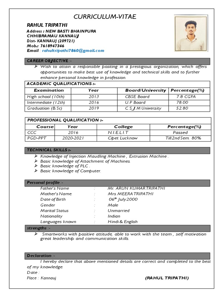 Rahul's Resume-1 | PDF