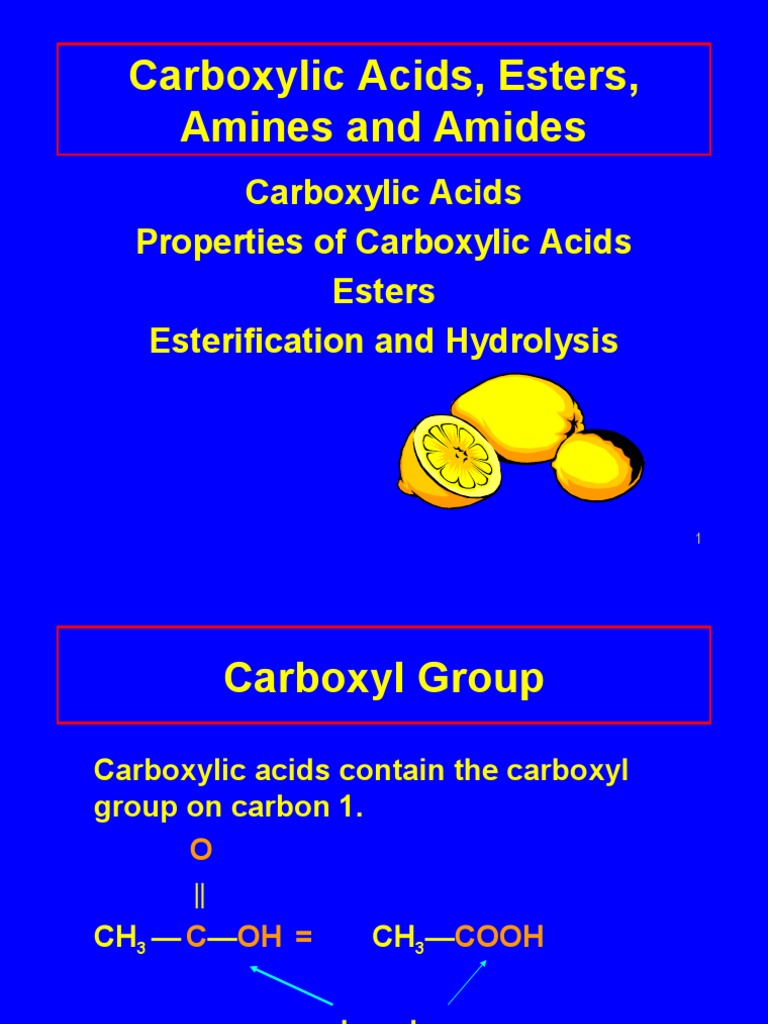 Carboxylic Acids and Esters Overview | PDF | Ester | Carboxylic Acid