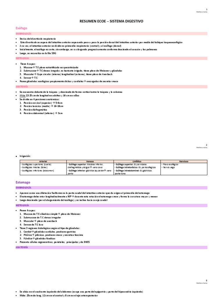 Sistema Digestivo (Resumen ECOE) 2022-2 | PDF