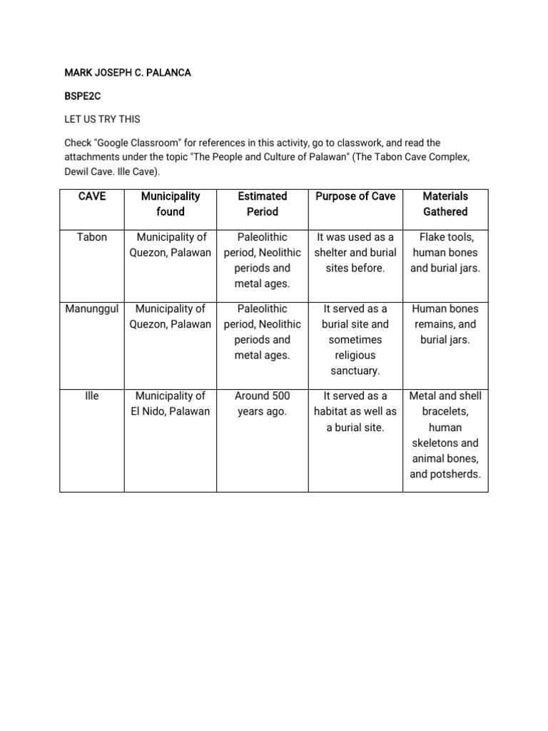 Activity 3 Palawan Study | PDF