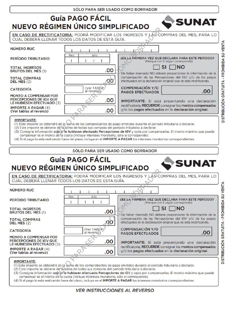 FORMATO DE RUS | PDF
