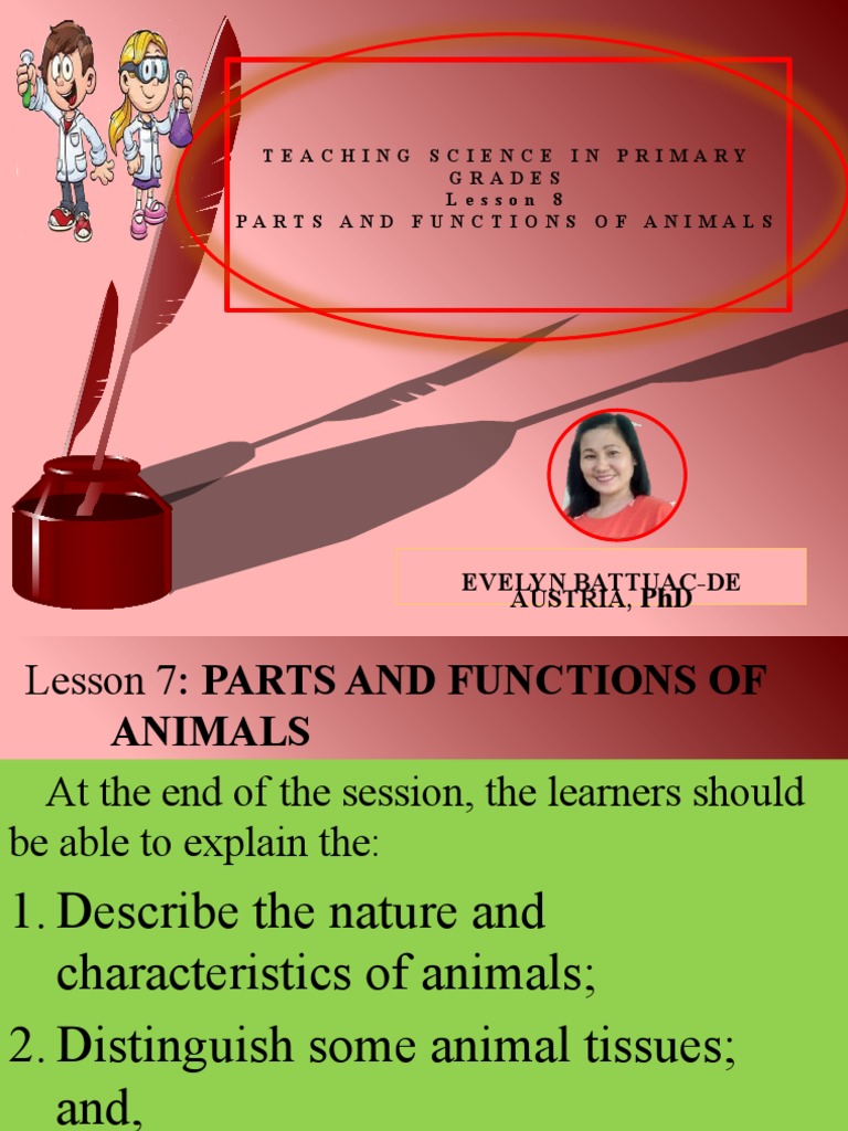Animal Parts & Functions Lesson | PDF