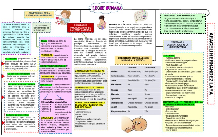 15.Mapa Conceptual Leche Humana | PDF | La leche materna | Leche