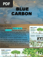 The African Dustbin QUESTIONS | PDF