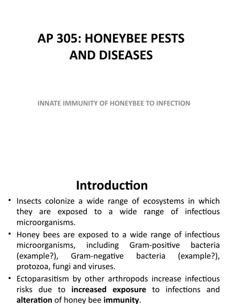 AP 305 - Lecture 9 (Chapter 5) - Innate Immune Responces (Autosaved ... AP 305 - Lecture 9 (Chapter 5) - Innate Immune Responces (Autosaved ...