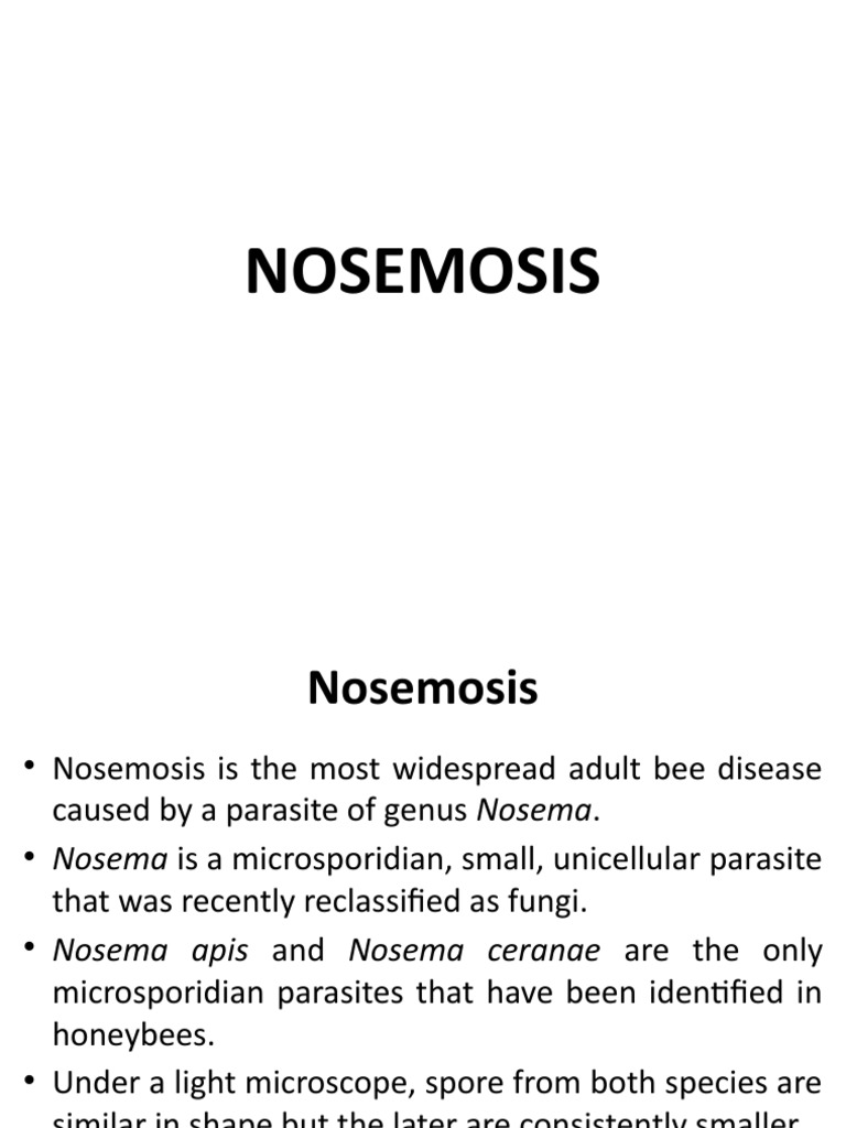 Nosema Disease in Honeybees: Symptoms & Control | PDF | Honey Bee | Apoidea
