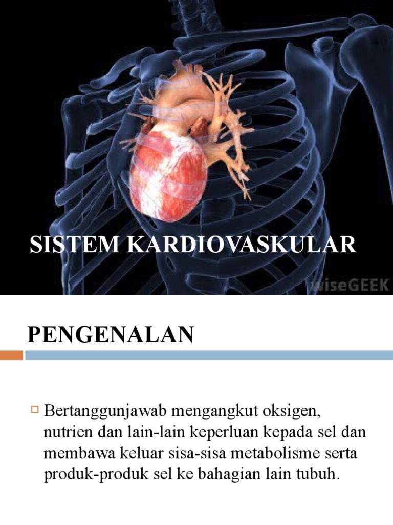 2.6 Sistem Kardiovaskular | PDF