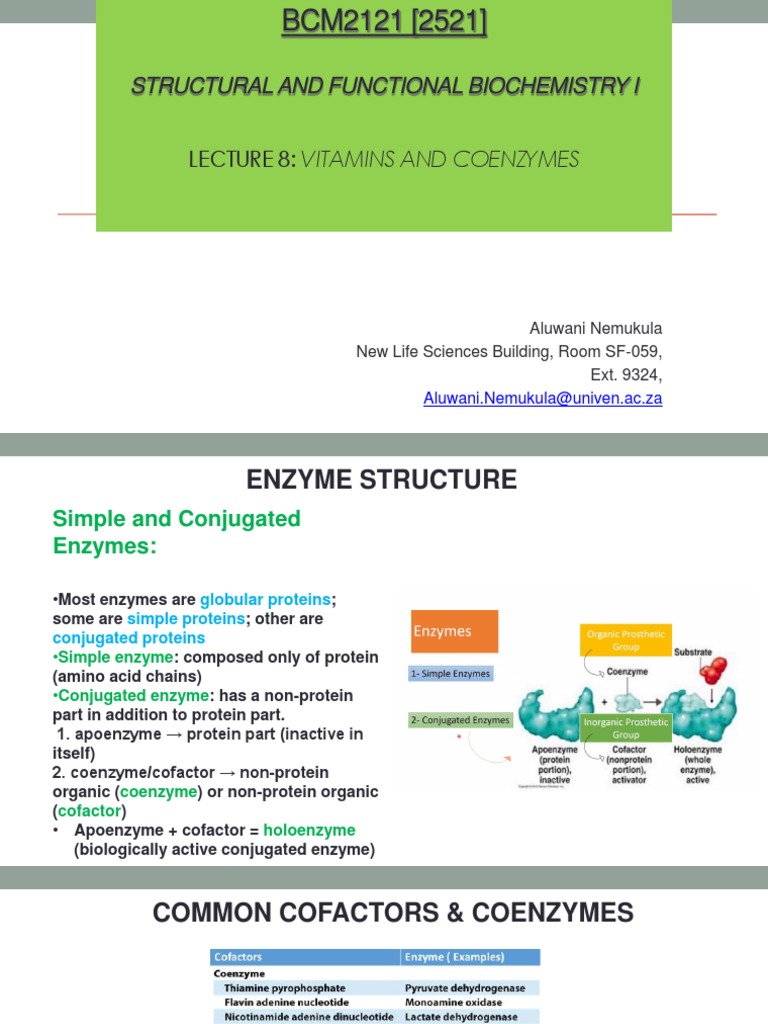 Vitamins and Coenzymes | PDF | Cofactor (Biochemistry) | Enzyme