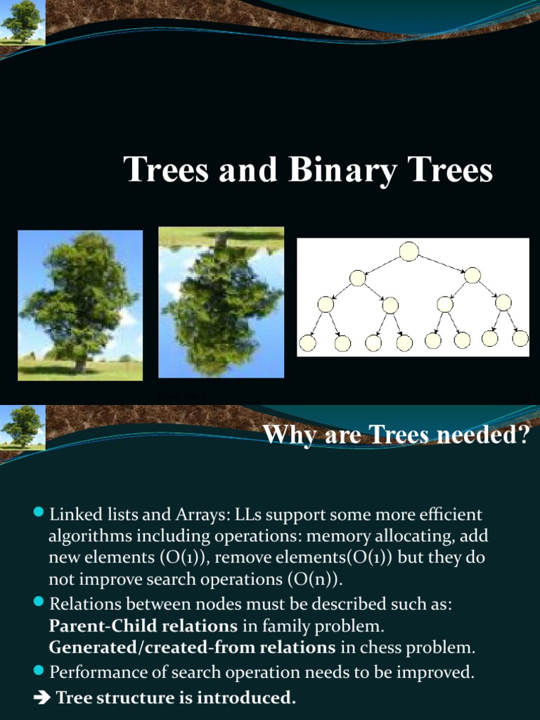 05 Trees Part1 BinaryTrees | PDF | Data Management | Theoretical Computer Science