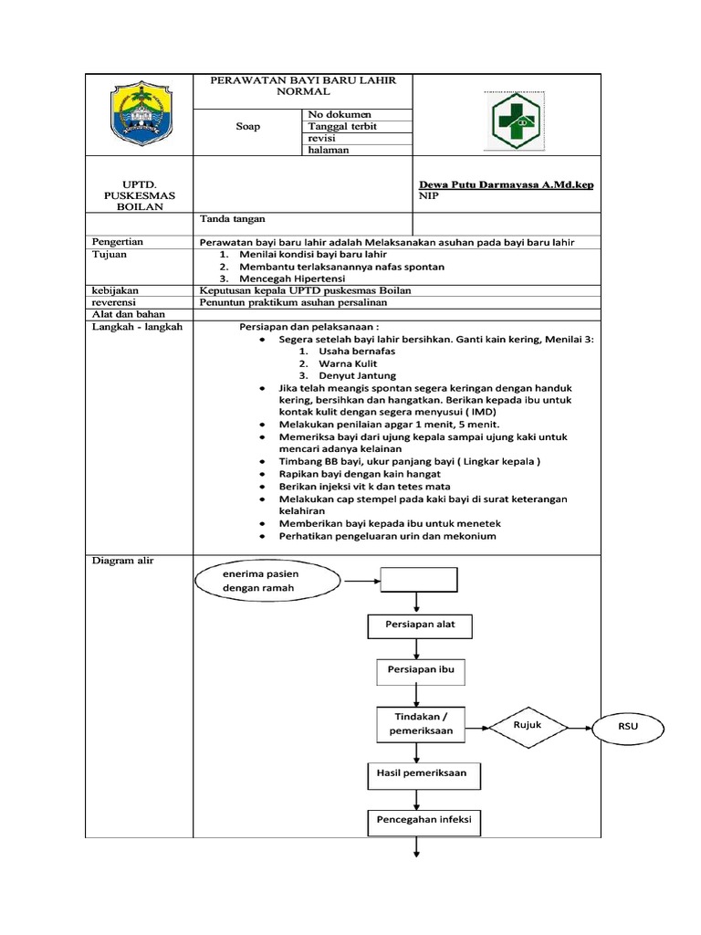 Sop Perawatan Bayi Baru Lahir Normal | PDF