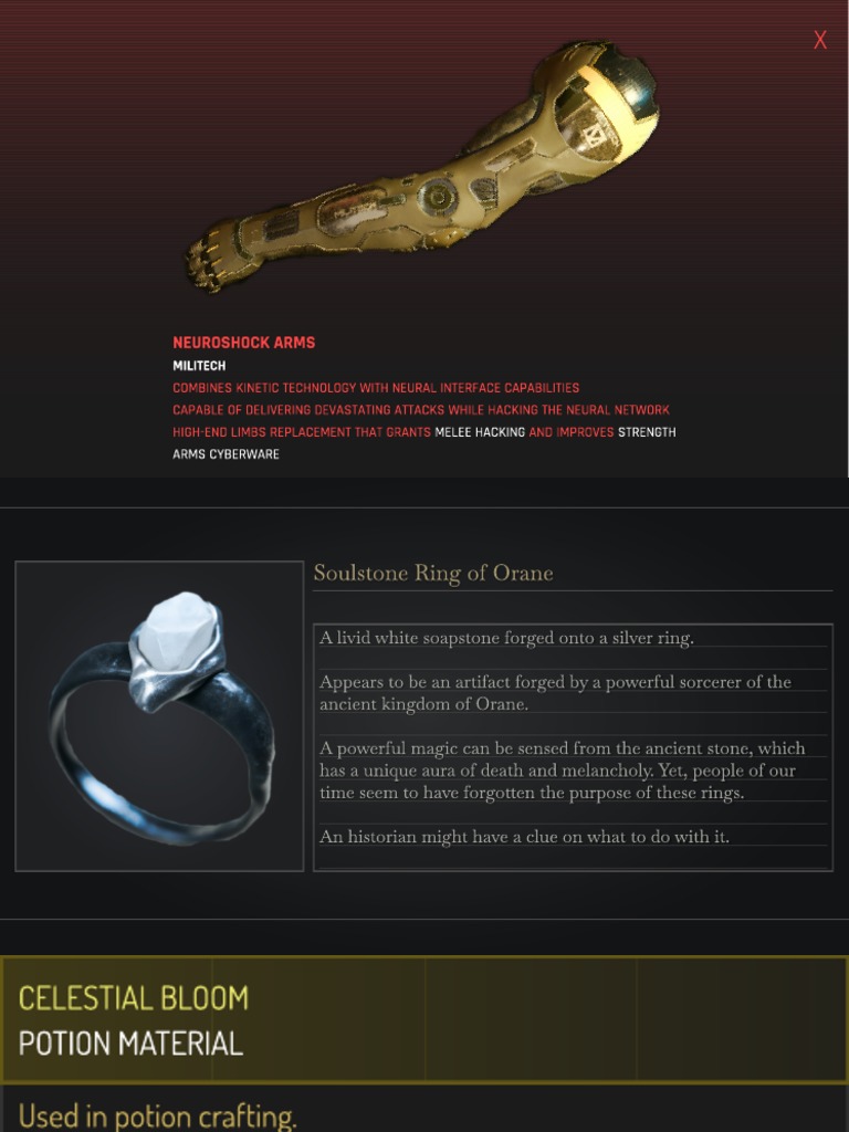 Items Descriptions | PDF