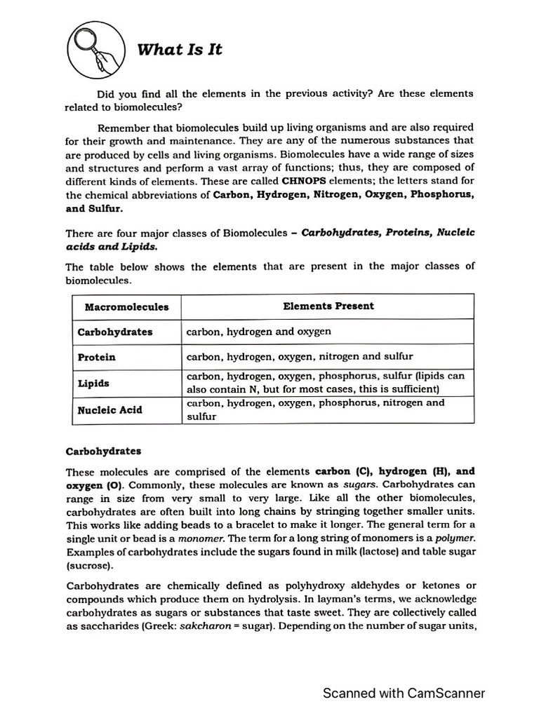 BIOMOLECULES Worksheet | PDF