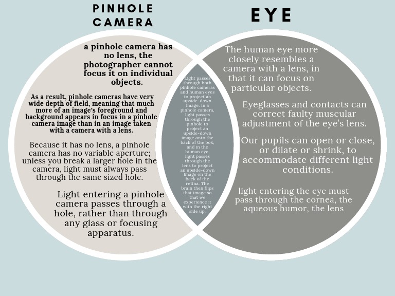A Pinhole Camera Has No Lens. | PDF | Camera | Human Eye