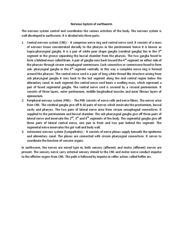 4.nervous System of Earthworm | PDF | Nerve | Nervous System