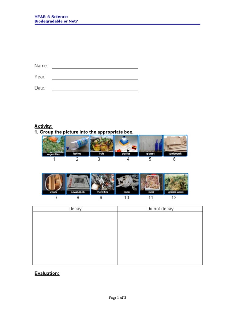 Activity Sheet - Biodegradable or Not | PDF