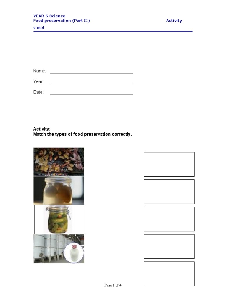 Year 6 Food Preservation Worksheet | PDF