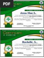 BSP Certificate | PDF | Scouting | Philippines