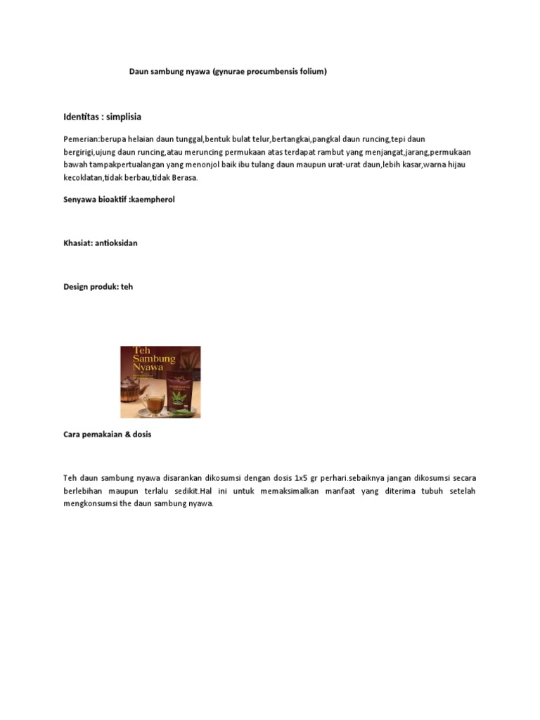 Manfaat dan Ciri Daun Sambung Nyawa | PDF | Kesehatan Holistik | Sains ...