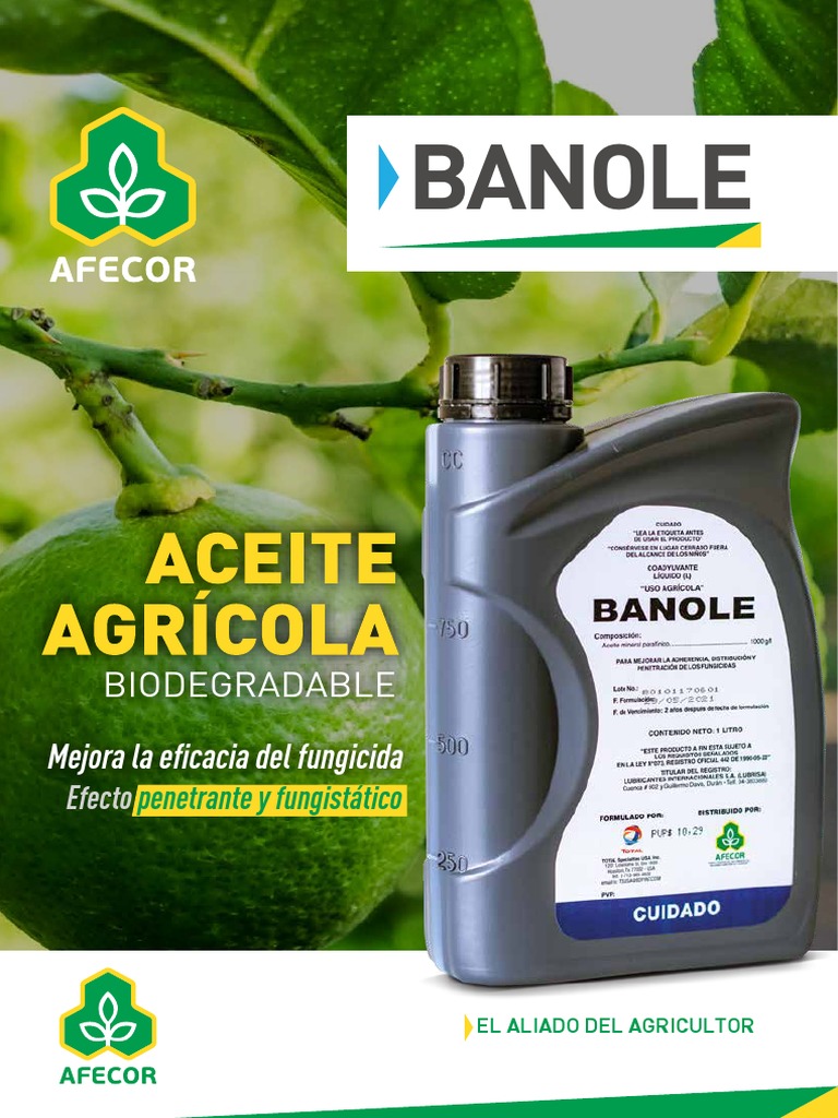 Banole Flyer | PDF