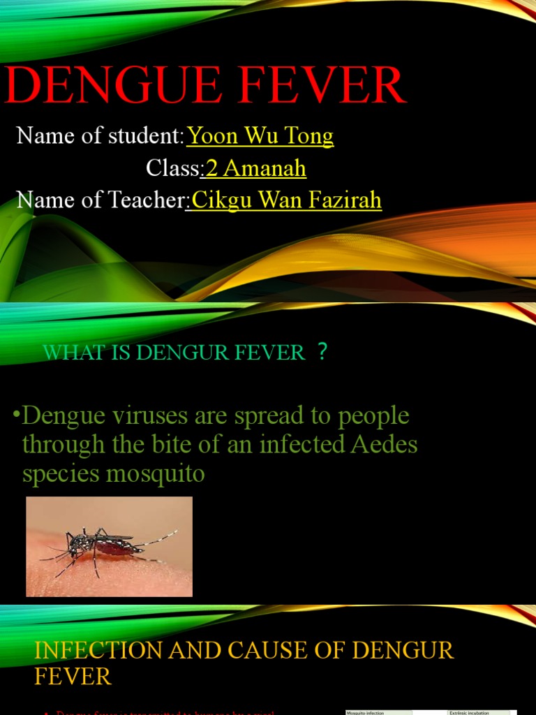 Dengue Fever | PDF