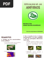 Triptico Los Anfibios | PDF | Anfibio | Zoología