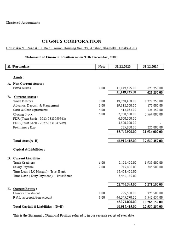 Cygnus Corp Financial Statement 2020 | PDF | Revenue | Income Statement