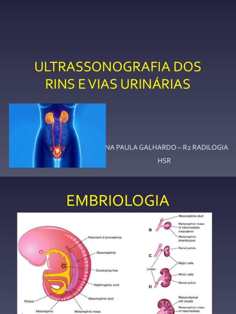 Us Rins e Vias Urinarias | PDF | Rim | Seio