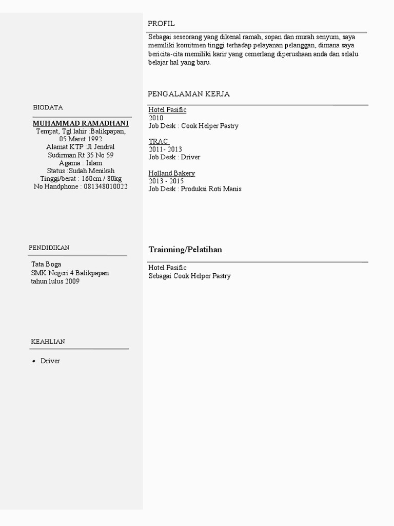 CV Baru Dhani | PDF | Karier & Perkembangan | Bisnis