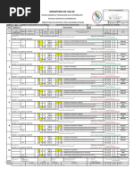 Nuevo Formato HIS | PDF | Medicina | Cuidado de la salud