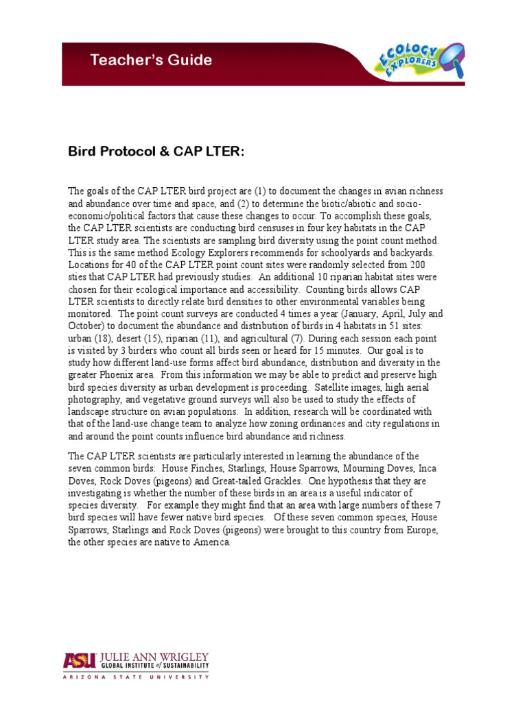 Birds | PDF | Birds | Columbidae